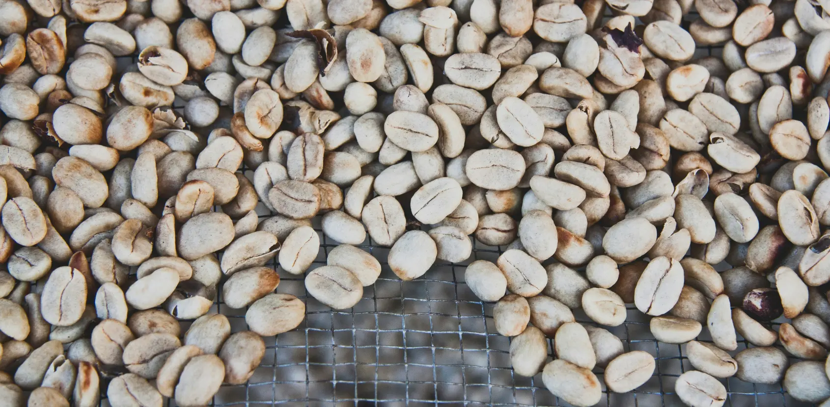 Wat is white coffee? - LeRine Coffee